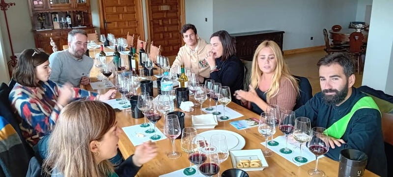 Ribera del Duero Tour: Three Wineries & Lunch from Madrid - Who Should Consider This Tour