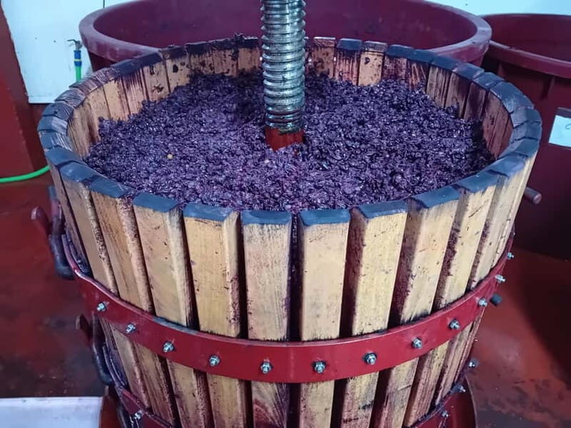 Ribera del Duero Tour: Three Wineries & Lunch from Madrid - FAQ