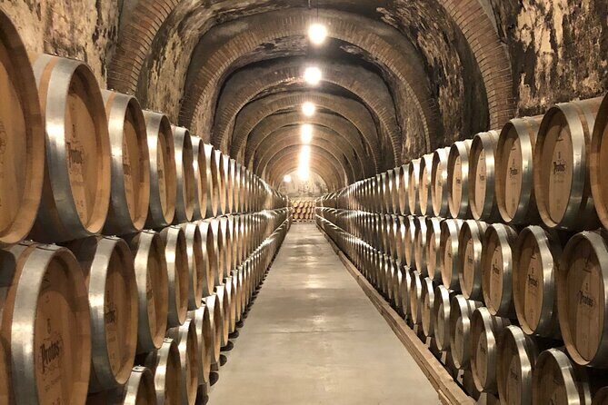 Ribera del Duero Tour: Two Wineries with Transport from Madrid - Practical Details and Tips