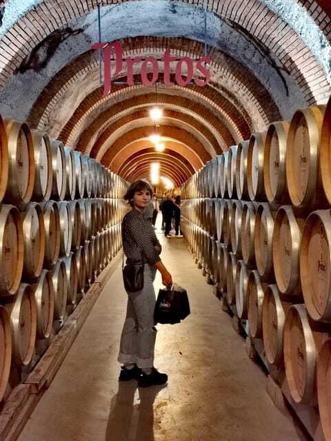 Ribera del Duero wine region private tour - What Does This Tour Mean for You?