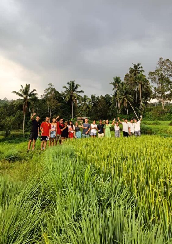 Rice Field - Benang Kelambu & Benang Stokel Waterfall Trip - Who Will Love This Tour?