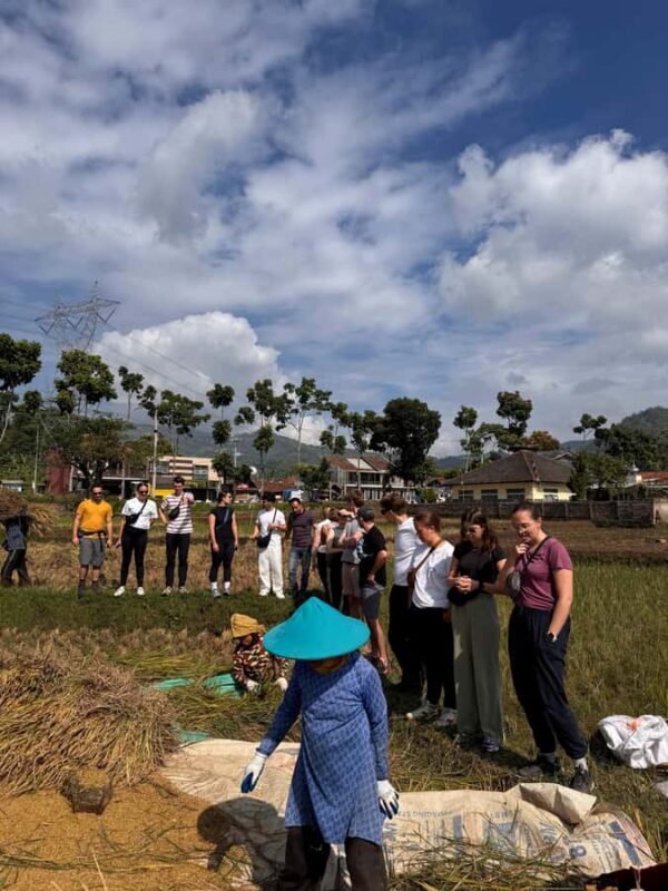 Rice Fields, Coffee plantation, White Crater, & Hot Springs - Key Points