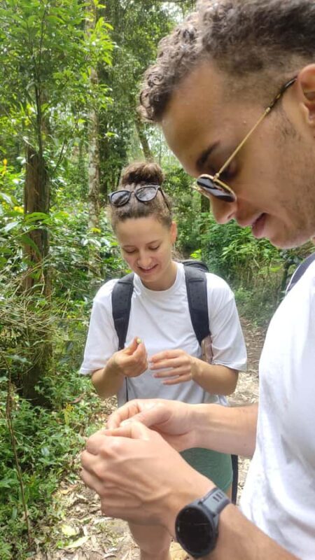 Rice Fields, Coffee plantation, White Crater, & Hot Springs - Who Is This Tour Best For?