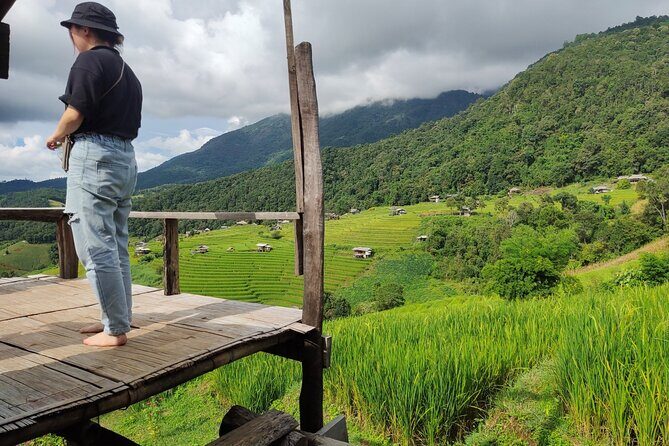 Rice fields terraces of Ban Pa Pong Piang. ( 1 day tour ) - Introduction