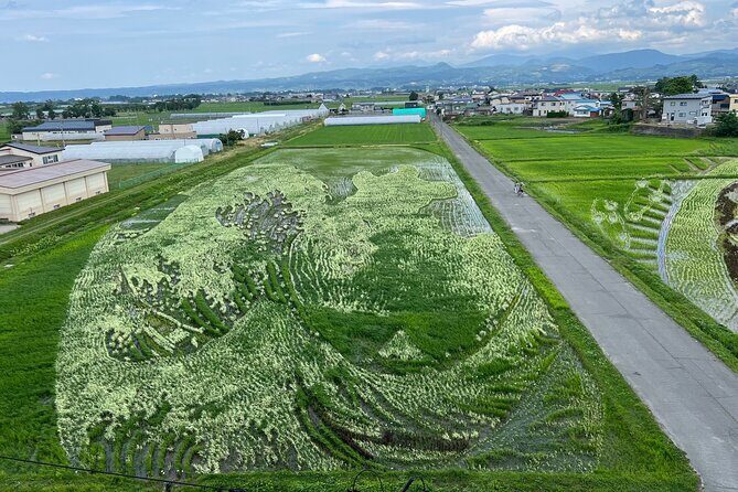 Rice Paddy Art Half day tour in Aomori - Who Is This Tour Best Suited For?