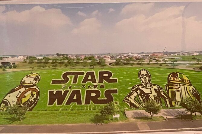 Rice Paddy Art Half day tour in Aomori - The Sum Up