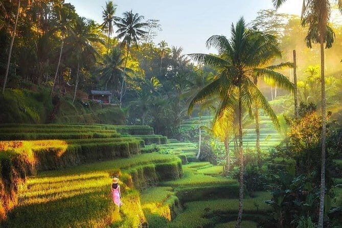 Rice terrace tour and Ubud area tour - What We Like About This Ubud Tour