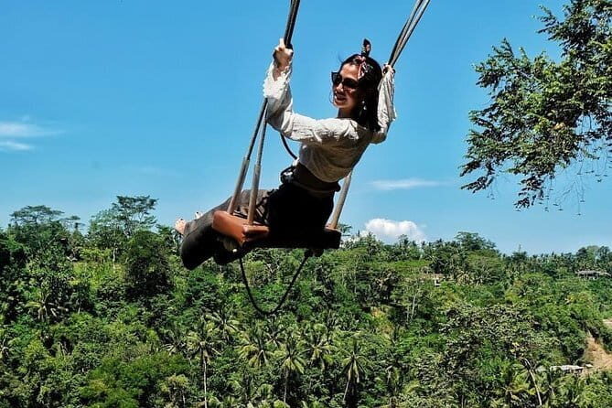 Rice terrace tour and Ubud area tour - Detailed Breakdown of the Itinerary