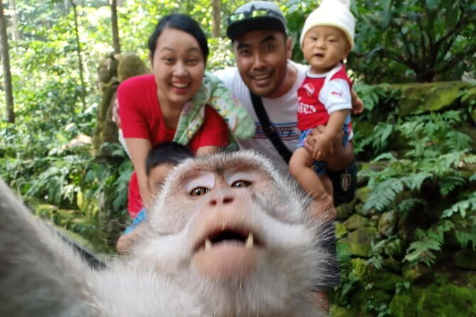 Rice terrace tour and Ubud area tour - The Experience from Past Travelers