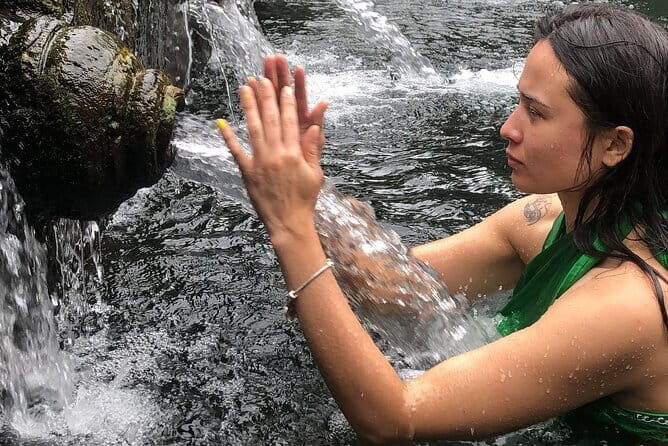 Rice terrace tour and Ubud area tour - Who Should Book This Tour?