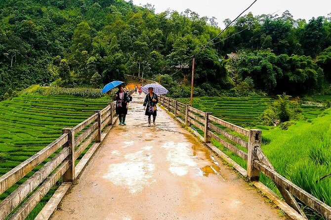 Rice Terraced Fields & Homestay Experience 2D 1N - Who Would Love This Tour?