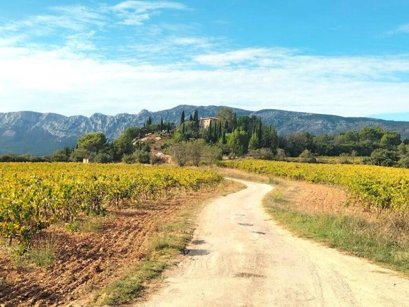 Richness of Provence in one day - customizable private trip - Final Thoughts: Who Is This Tour For?