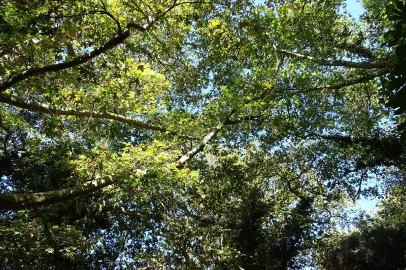 Richtis Gorge Private Guided Hiking Tour - Pricing and Value