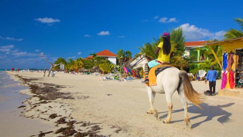 Ricks cafe & 7mile Beach Private Tour from Montego Bay. - Final Thoughts: Is It Worth It?