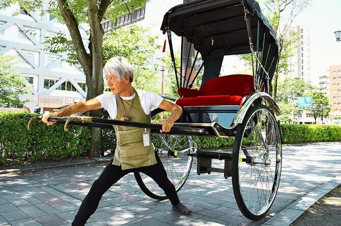 Rickshaw Tour of Kagoshima's Historical and Cultural Sites - Introduction