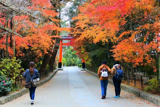 Rickshaw Tour of Uji: Local Insights and Scenic Views - Who Should Consider This Tour?