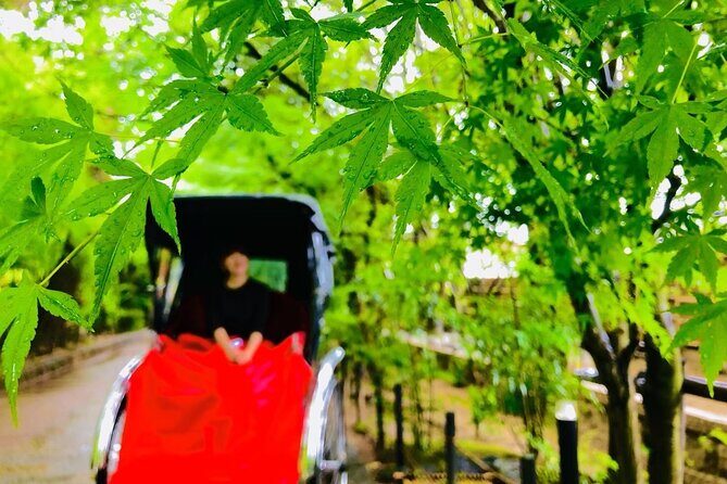 Rickshaw Tour of Uji: Local Insights and Scenic Views - The Sum Up