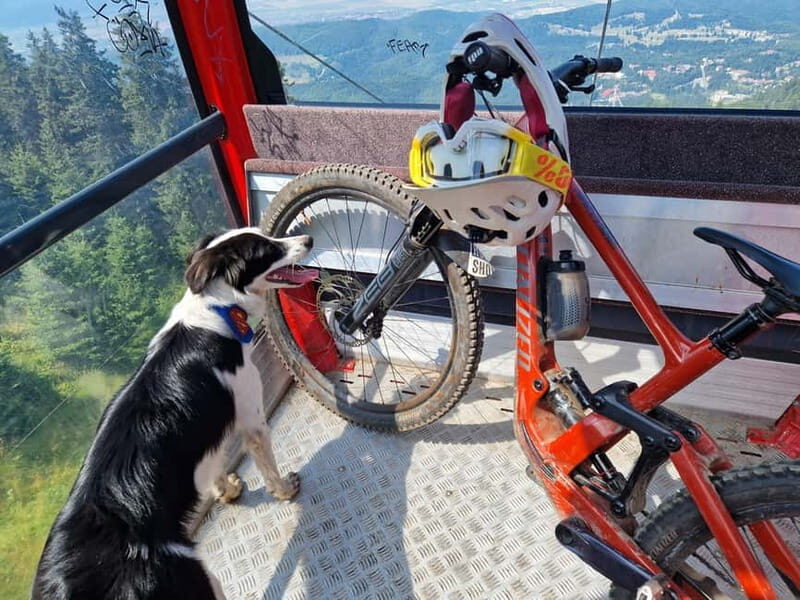 Ride Braovs Wild Trails with Daisy & Taste Local Life - Exploring "Piatra lui Solomon" and "Drumul Vechi"