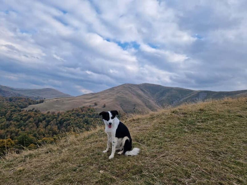 Ride Braovs Wild Trails with Daisy & Taste Local Life - What’s Included and What’s Not