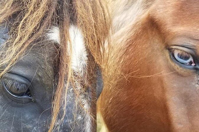 Ride Horses on the Beach - Practical Tips for Future Riders