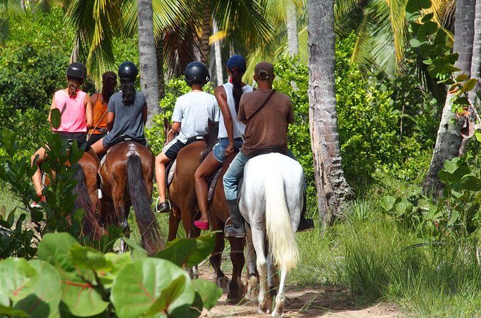 Ride Horses on the Beach - Who Is This Tour Best For?
