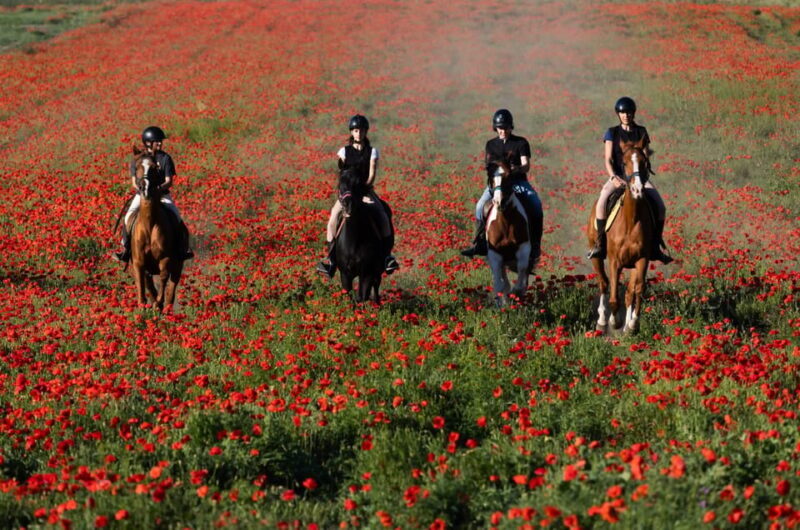Ride in Rome with meal and wine included - Key Points