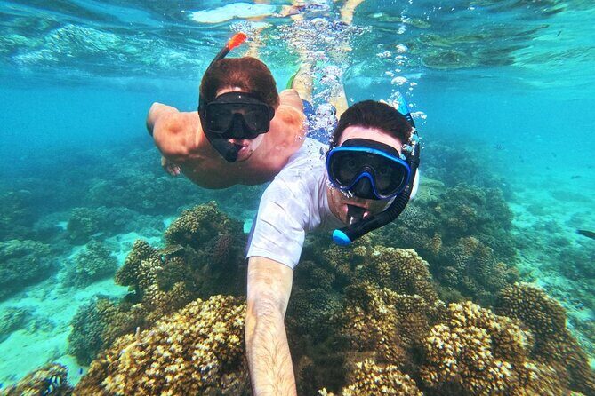 Ride & Slide by South Sea Cats - Half Day Snorkelling Trip - Value for Money