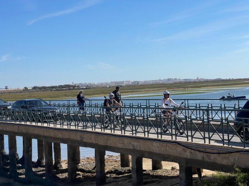 Ride the Day Away: Easy & Affordable E Motor Bike Rentals - The Bottom Line: Who Is This Experience Perfect For?