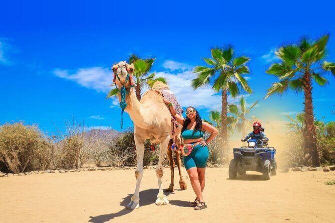 Ride the Wild Camel Safari and Off Road Rush - Key Points