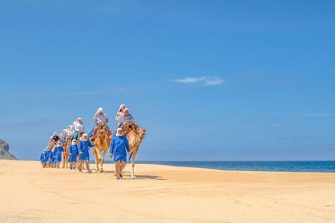 Ride the Wild Camel Safari and Off Road Rush - An In-Depth Look at the Tour