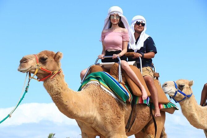 Ride the Wild Camel Safari and Off Road Rush - FAQs