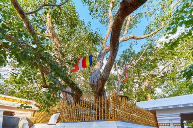 Ride Through Ruins: Anuradhapura Day Tour by Tuk Tuk - An In-Depth Look at the Tour