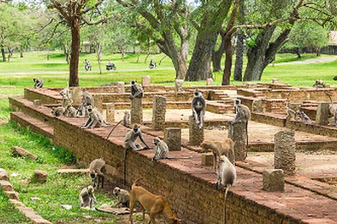 Ride Through Ruins: Anuradhapura Day Tour by Tuk Tuk - Final Thoughts: Who Should Consider This Tour?