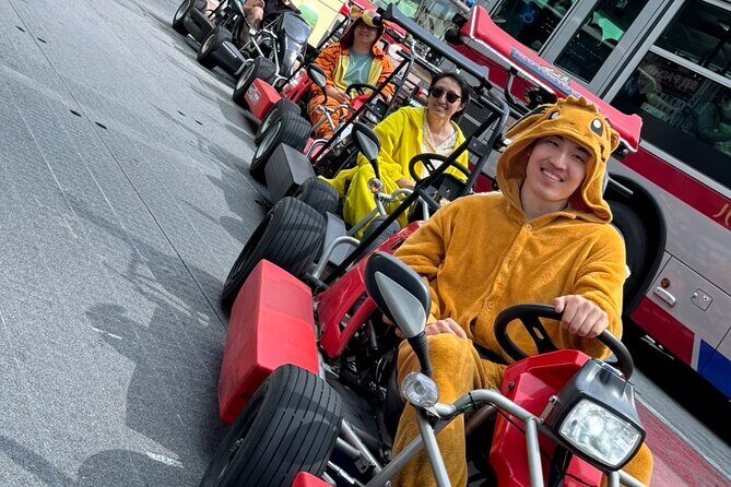 Ride Through The Streets Of Shibuya and Sinjuku By Go Kart - An Overview of the Experience