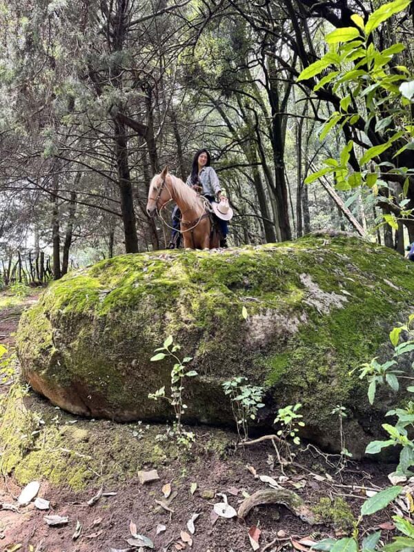 Ride with Mexican Charros: A Cowboy Adventure in Mexico City - What This Tour Offers and Why It Matters