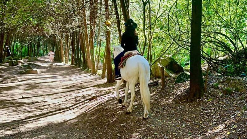 Ride with Mexican Charros: A Cowboy Adventure in Mexico City - FAQ