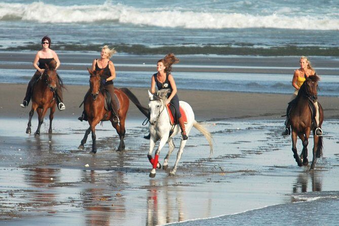 Riding a Horse to Enjoy the Extremely Black Sand Beach - What Previous Travelers Say