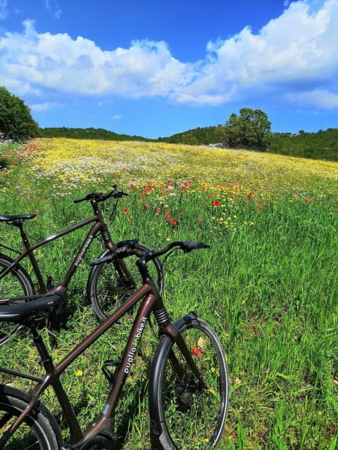 Riding to Alberobello and countryside with E-Bike - Who Is This Tour Perfect For?