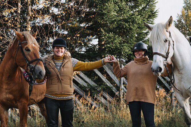 Riding Tour with Finnhorses at Santa Claus Village - What to Expect from the Horseback Riding Tour
