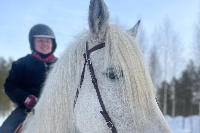 Riding Tour with Finnhorses at Santa Claus Village - The Experience’s Value