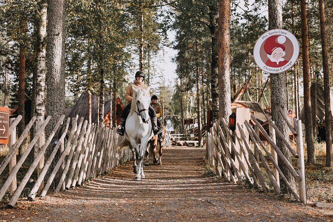 Riding Tour with Finnhorses at Santa Claus Village - Authenticity and Realistic Expectations