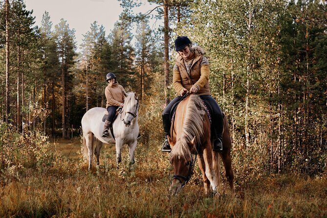 Riding Tour with Finnhorses at Santa Claus Village - Final Thoughts: Who is This Tour Best For?
