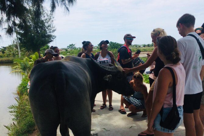 Riding Water Buffalo Hoi An Private Bike Tour - Authentic Feedback from Participants