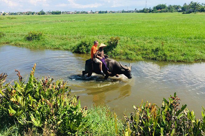 Riding Water Buffalo Hoi An Private Bike Tour - The Sum Up: Is This Tour Right for You?