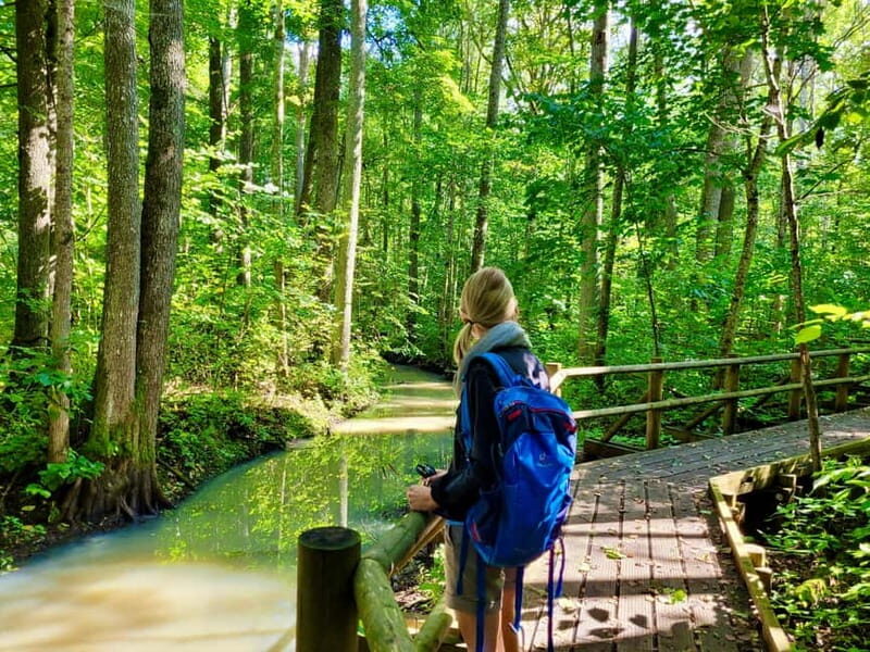 Riga: Best of Kemeri National Park In One Day - The Sum Up