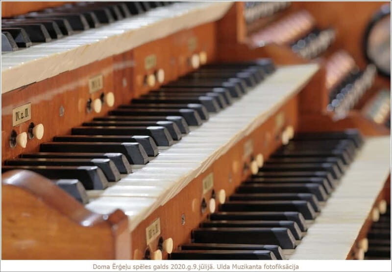 Riga: Concerto Piccolo and Cathedral Visit - Who Should Not Miss This Experience