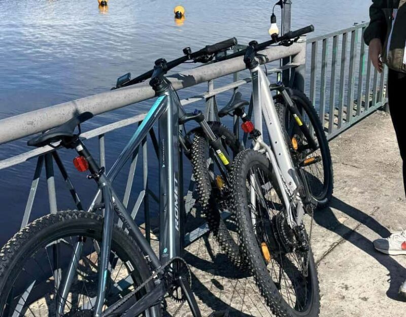 Riga: Electric Bike Rental with Helmet and Lock - Who Will Benefit Most?