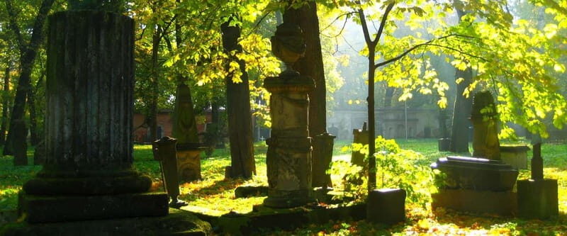 Riga Explorer Bike Tour - Authentic Experiences and What Travelers Say