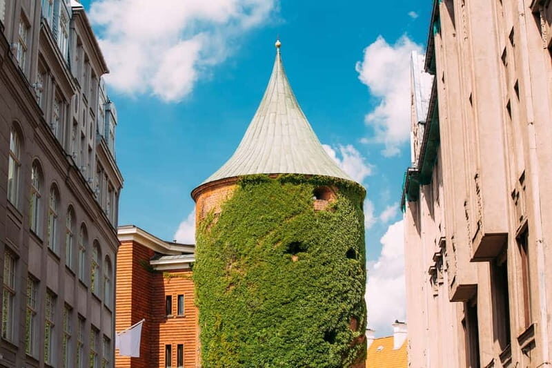 Riga: Hop-On, Hop-Off Tour - Authentic Experiences and Traveler Perspectives