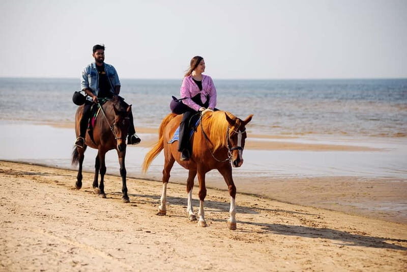 Riga Horse Riding tour along the Beach - Key Points